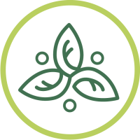 The Associated Students | ASUCD